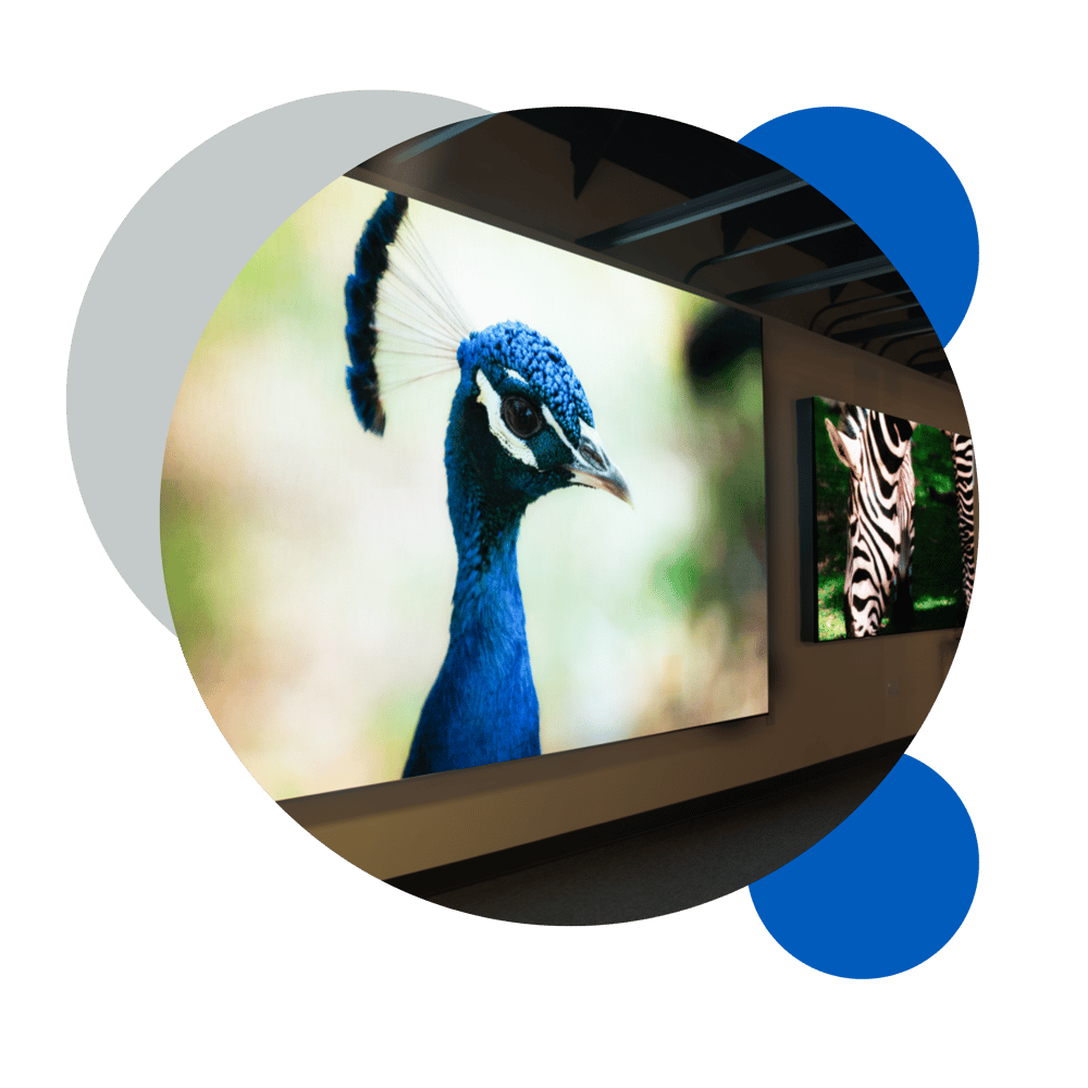 AV Solutions - Solutionz, Inc.